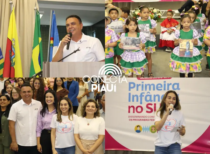 São Raimundo Nonato sedia o IV Seminário da Primeira Infância no SUAS ...