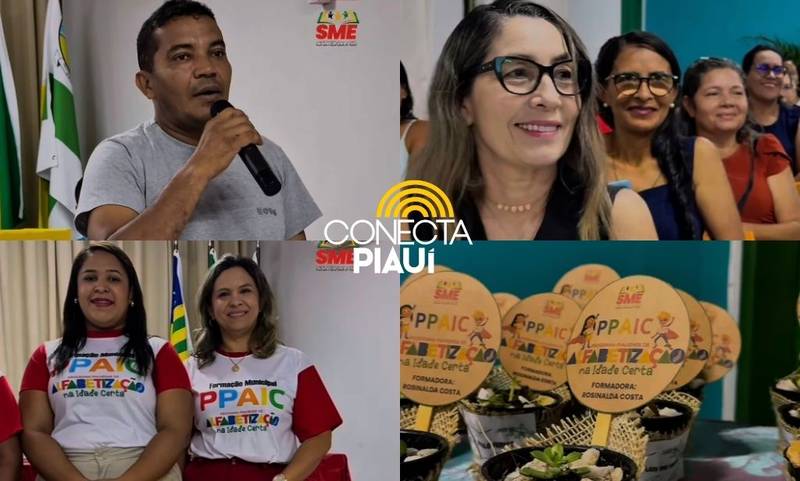 Educação: Porto realiza formação do PPAIC para professores de ...