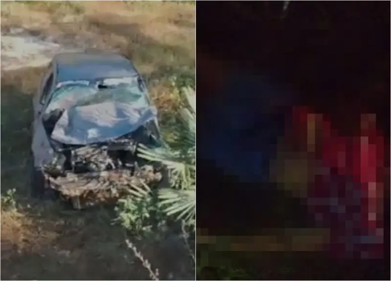 Mulher morre após carro colidir com jumento e capotar na PI-366, Norte ...